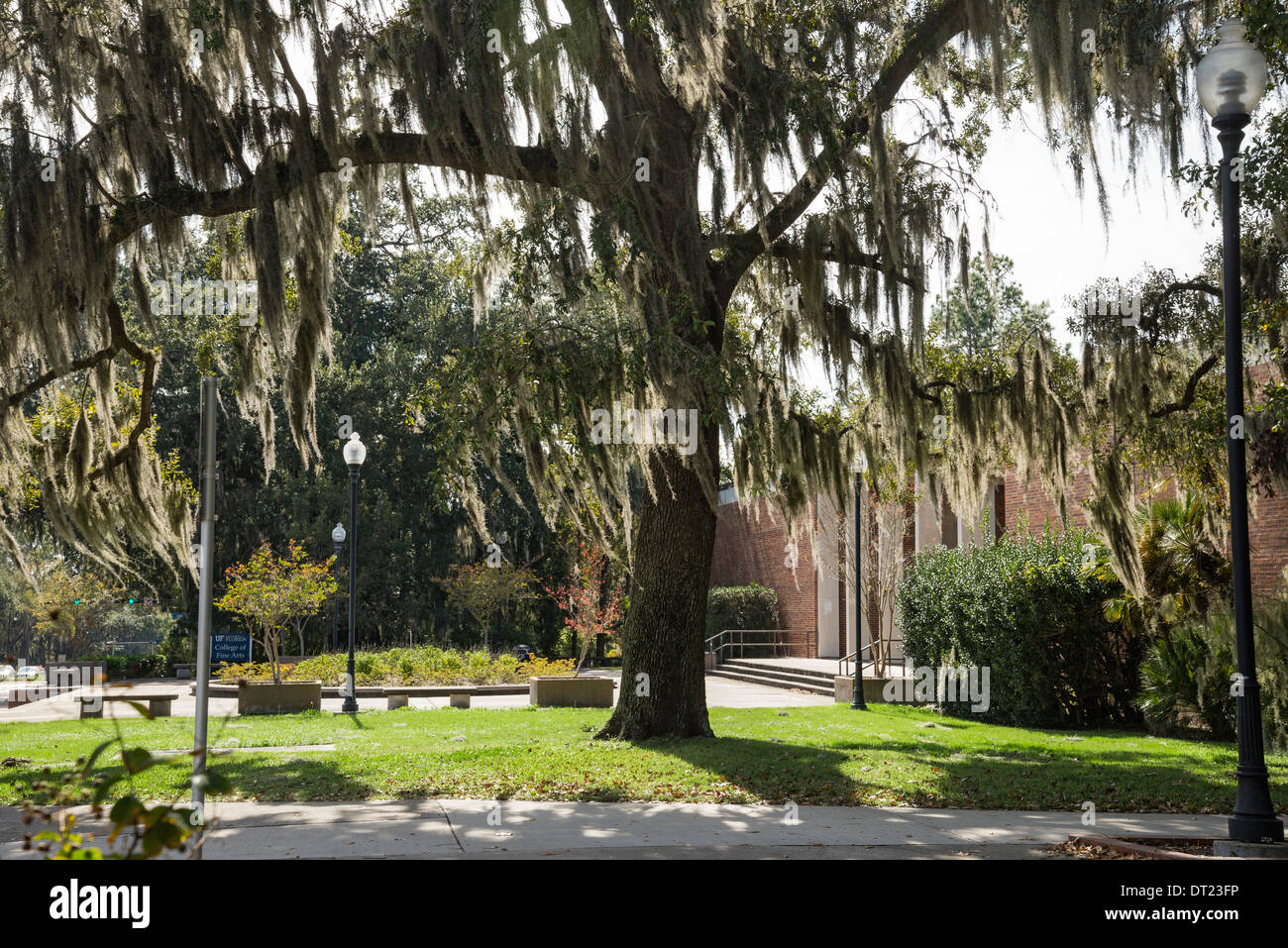 University of florida campus building hi-res stock photography and ...