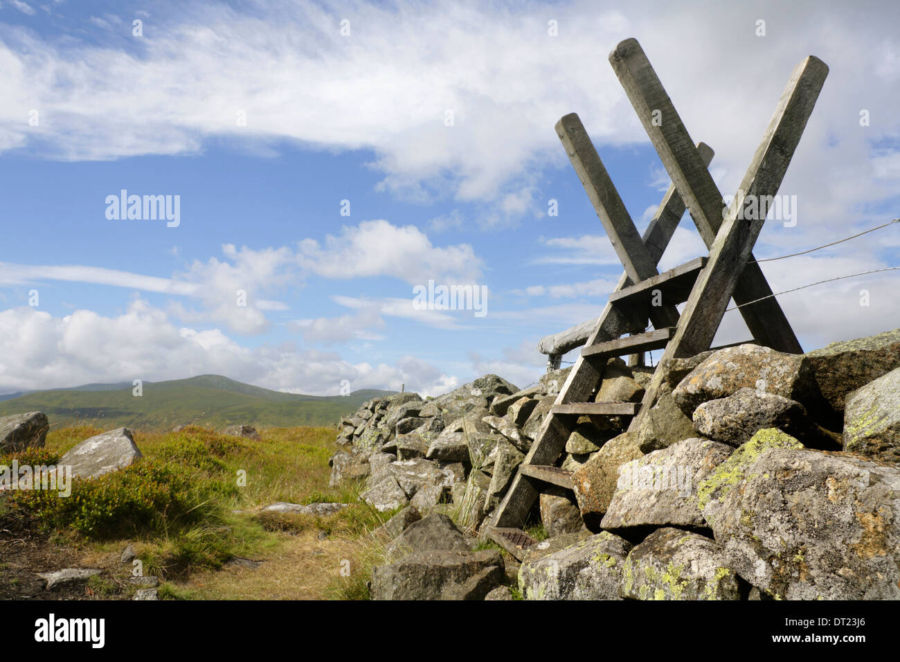 Ladder stile over dry stone wall at the summit of Tal-y-Fan with Foel ...
