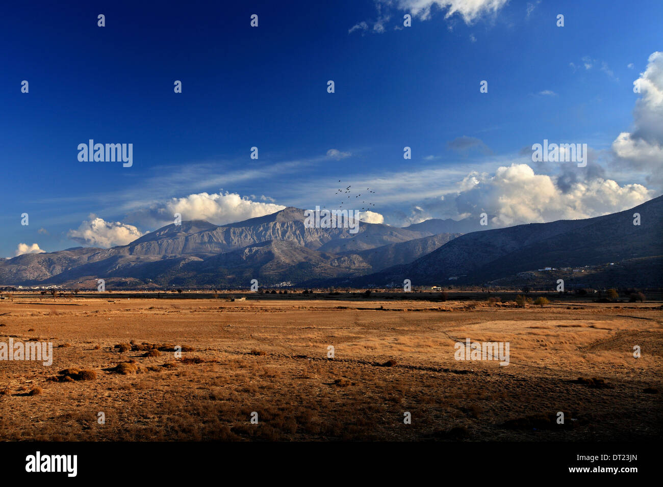 Fields at lasithi plateau hi-res stock photography and images - Alamy