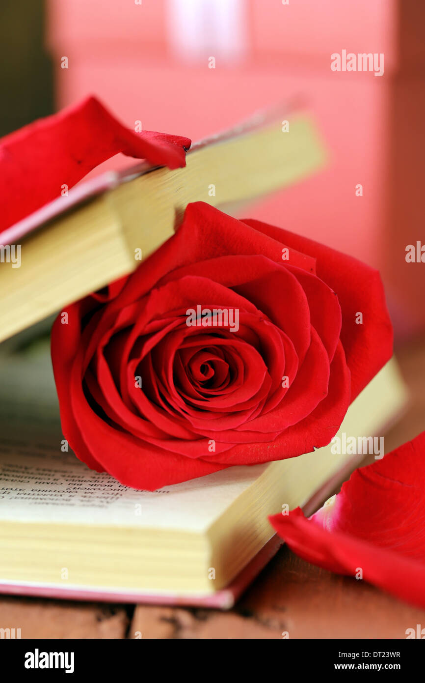 Romantic still life hi-res stock photography and images - Alamy