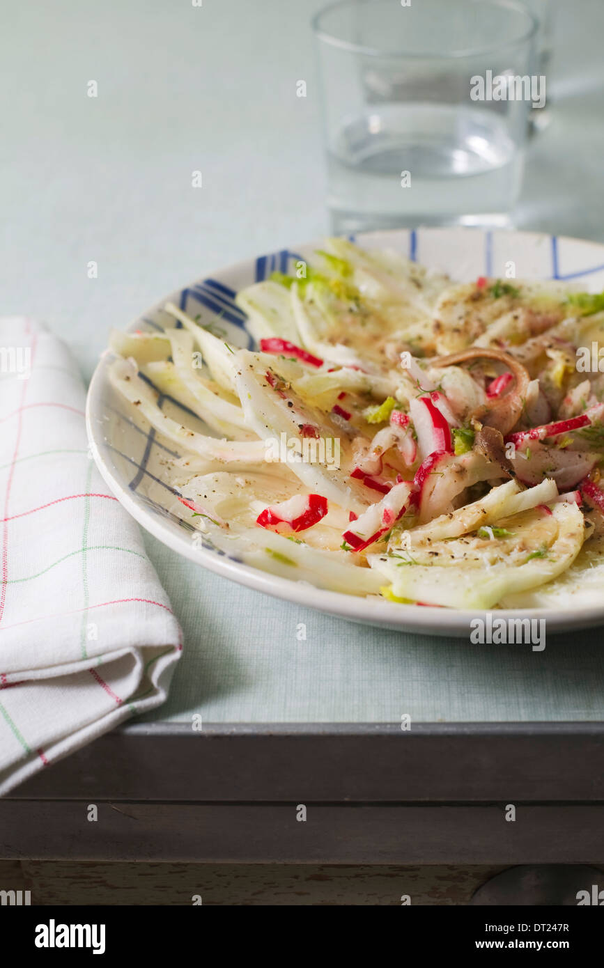 Salade of fennel and radish to the anchovy cream Stock Photo - Alamy