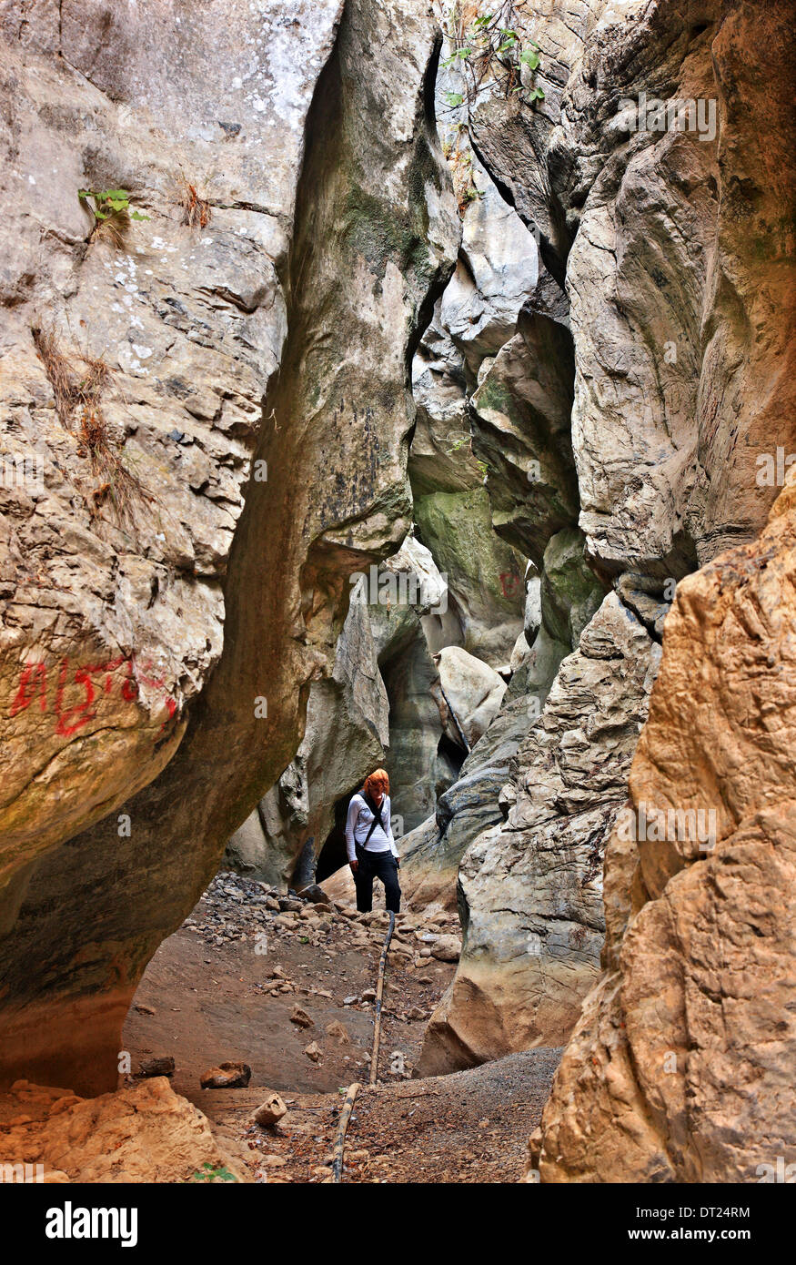 Arvi hi-res stock photography and images - Alamy