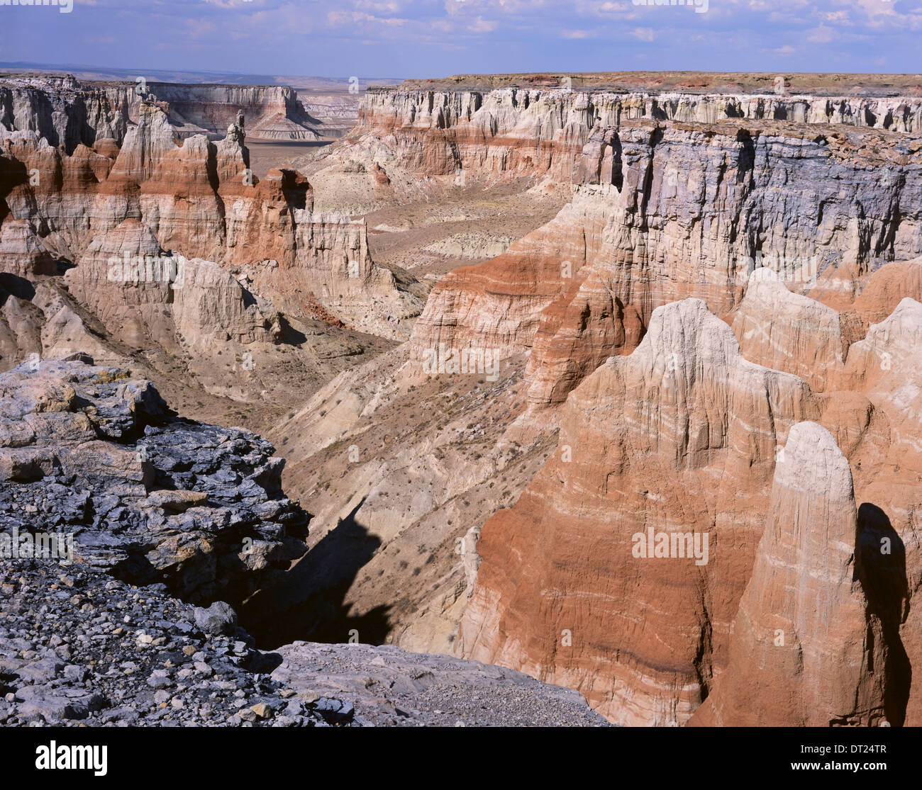 Coal Mine Canyon, Hopi/Navajo Reservation, AZ Stock Photo - Alamy