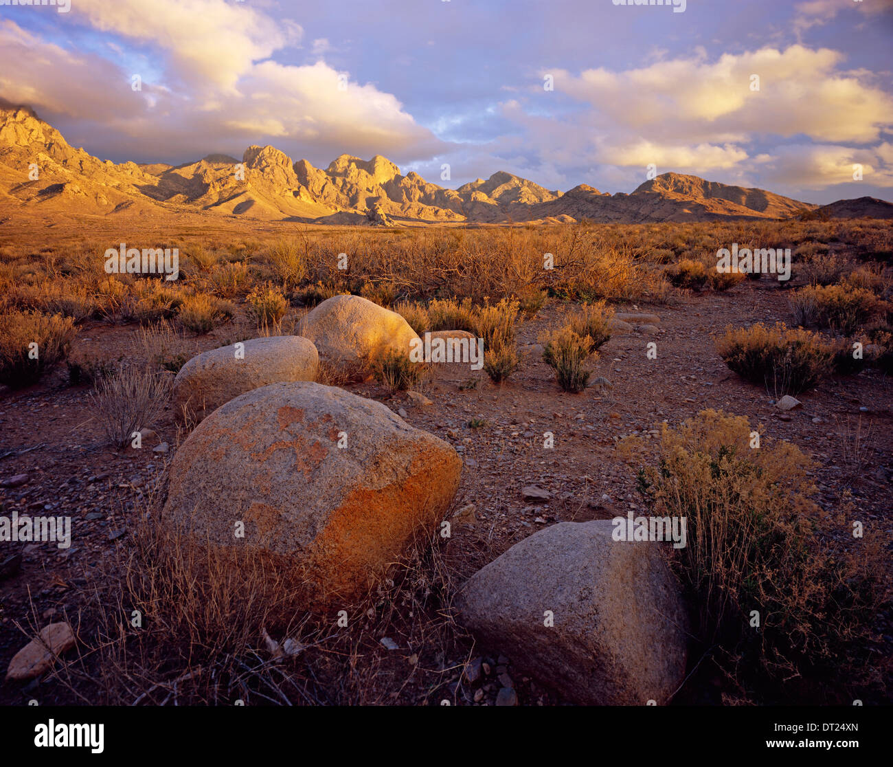 Sunset las cruces hi-res stock photography and images - Alamy