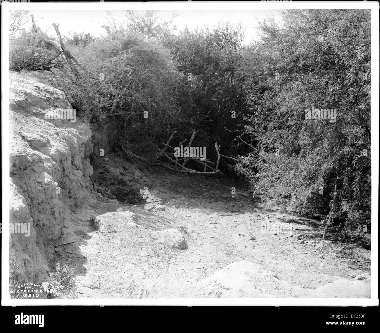 Indian well at Martinez, showing the heavy vegetation around it, ca ...