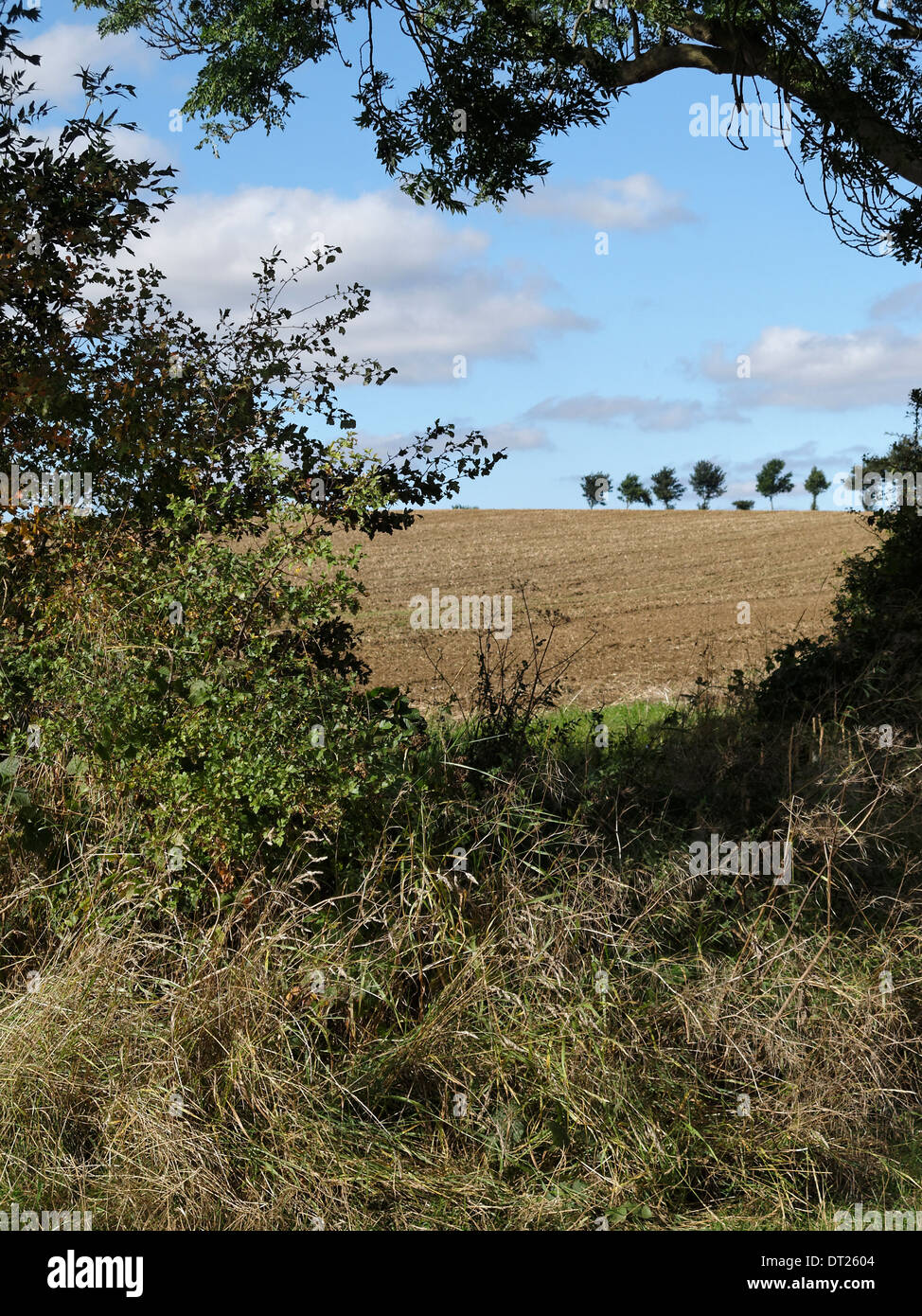 A rural landscape near Carlton Scroop, Lincolnshire, England Stock ...