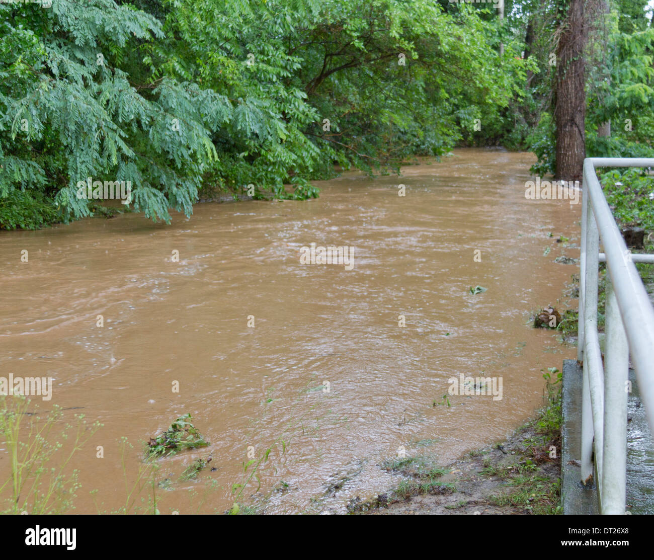 Creek in the rain hi-res stock photography and images - Alamy