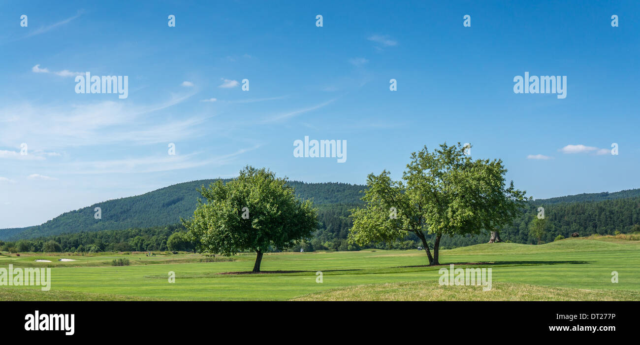 A panorama of two trees overlooking some hills in the distance Stock ...