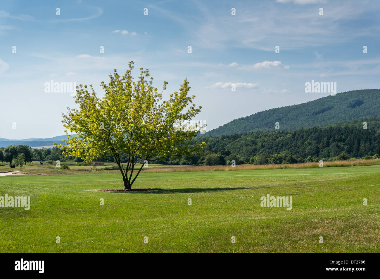 Solitary scenery hi-res stock photography and images - Alamy