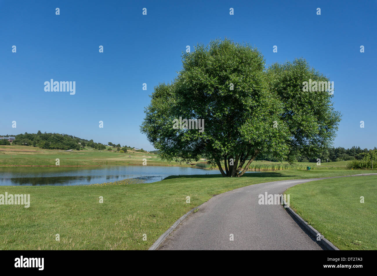 Curved path leading hi-res stock photography and images - Alamy
