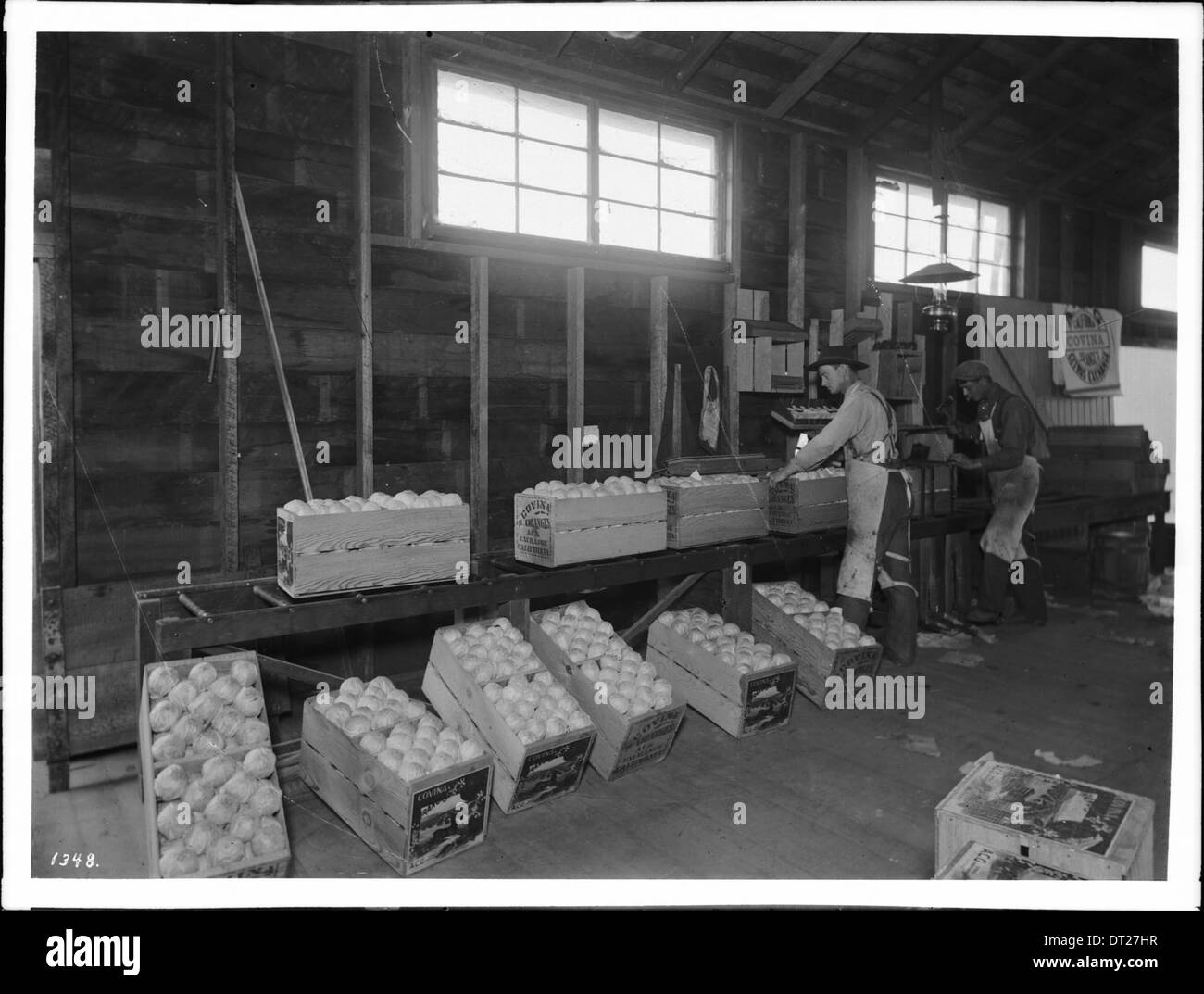 The interior of a packing house around 1900, showing workers and ...