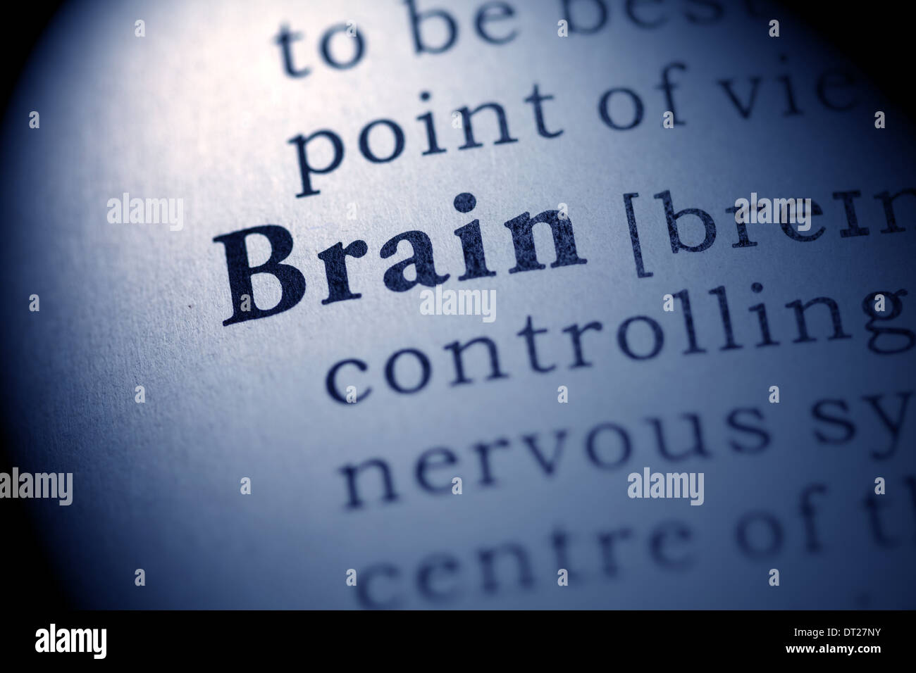 Fake brain hi-res stock photography and images - Alamy