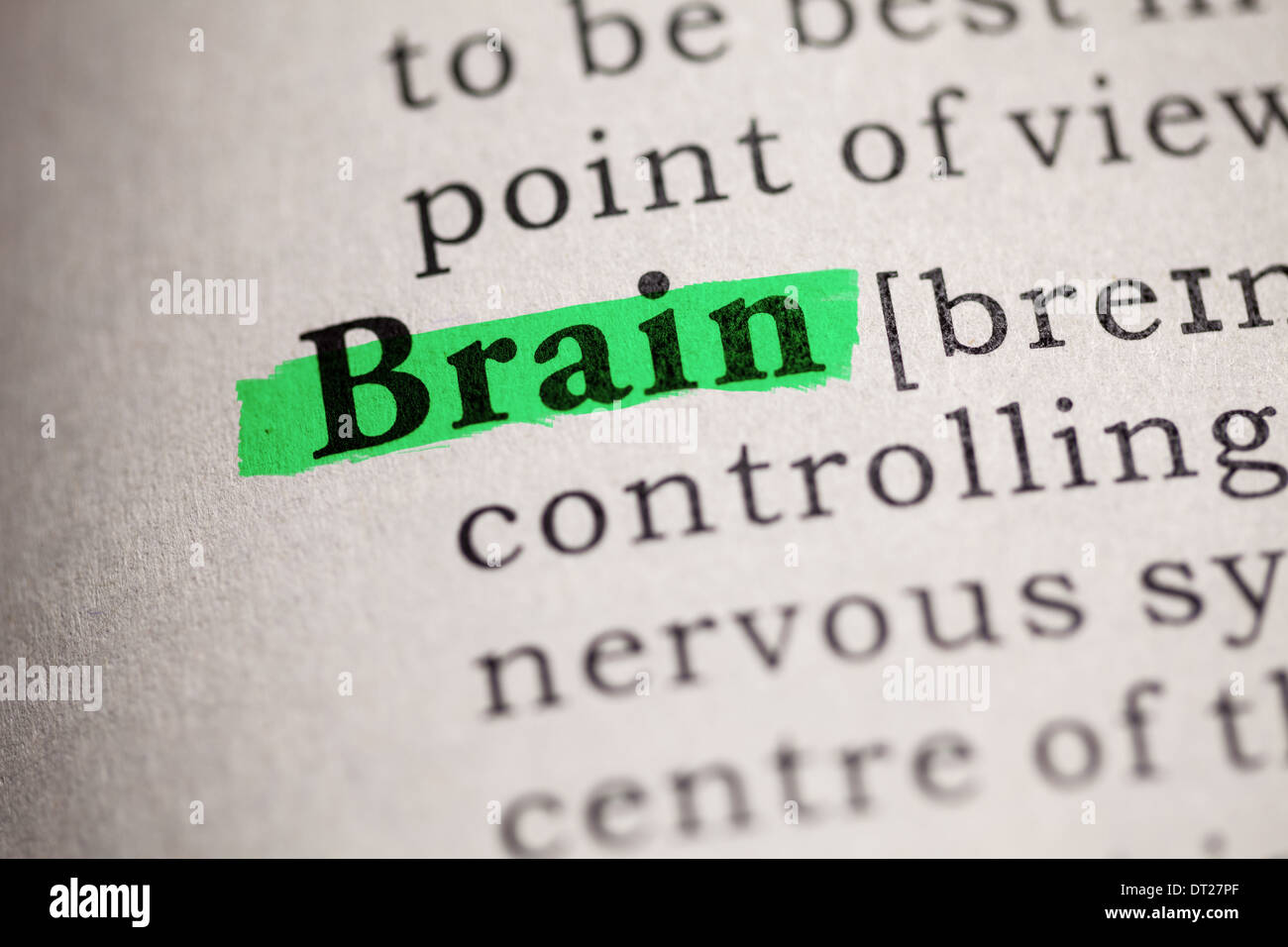 Fake brain hi-res stock photography and images - Alamy