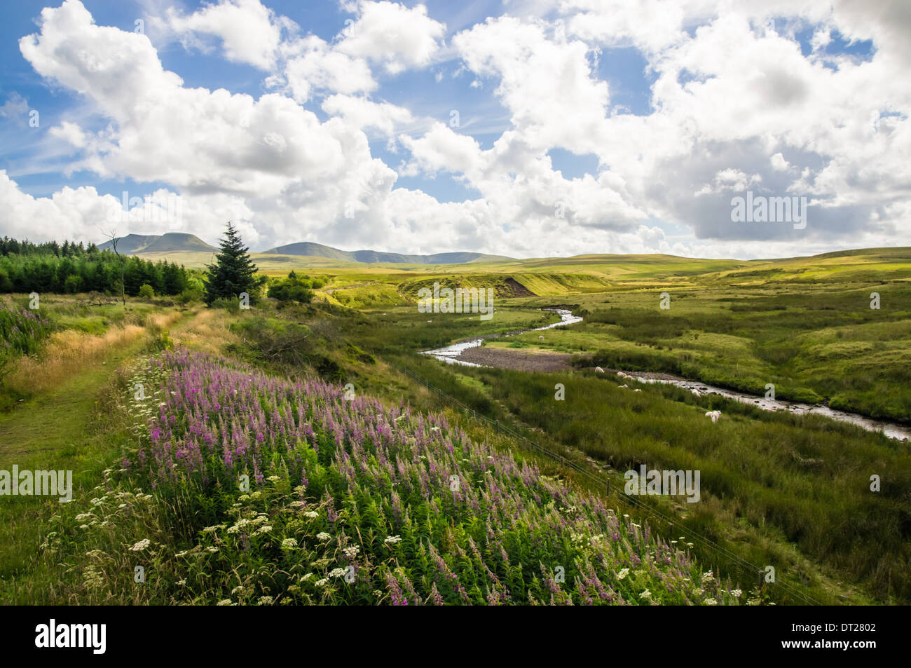 View of the valley in Black Mountains region, Brecon Beacons, Bannau ...