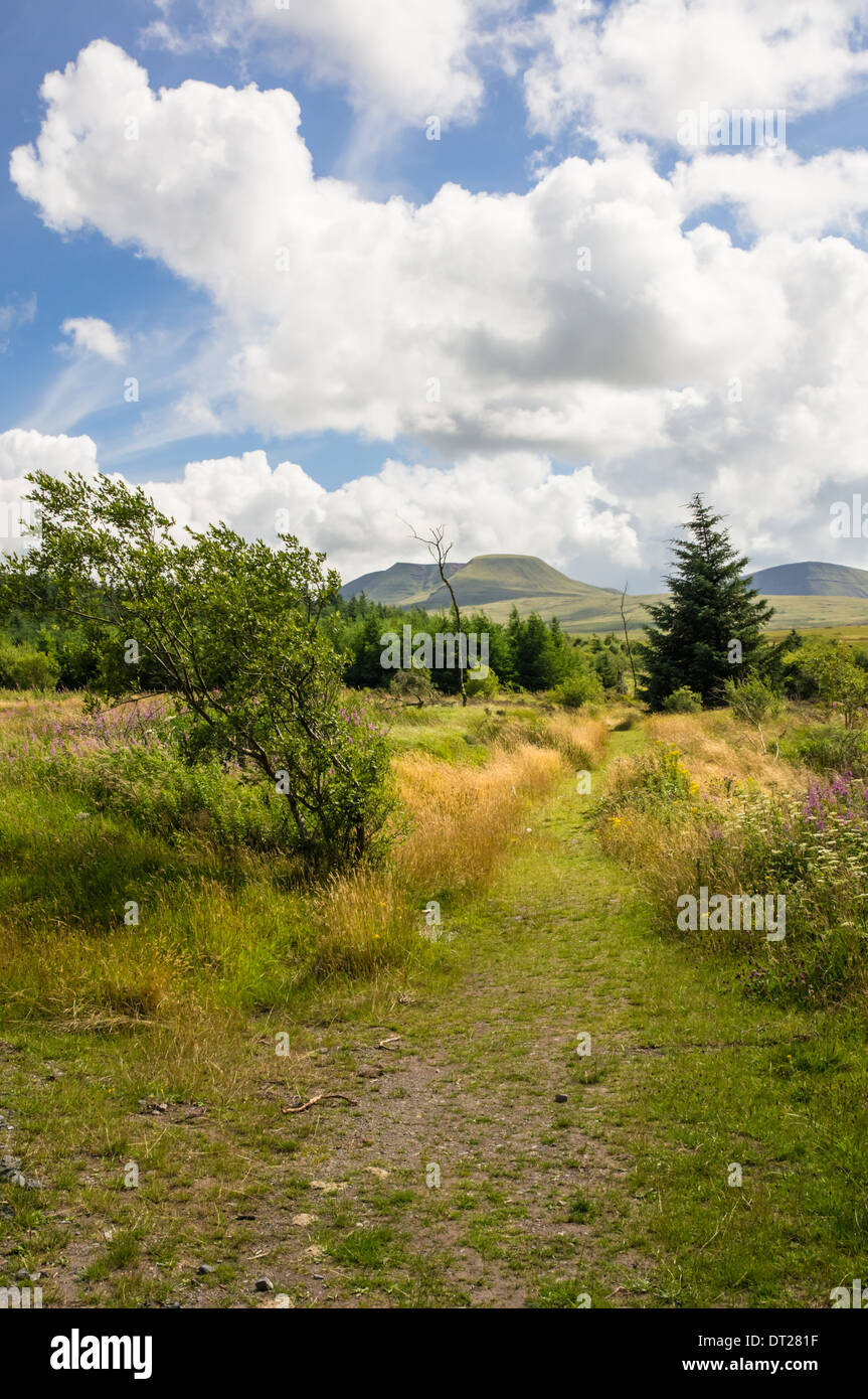 View of the Fan Brycheiniog peak in Black Mountains region, Brecon ...