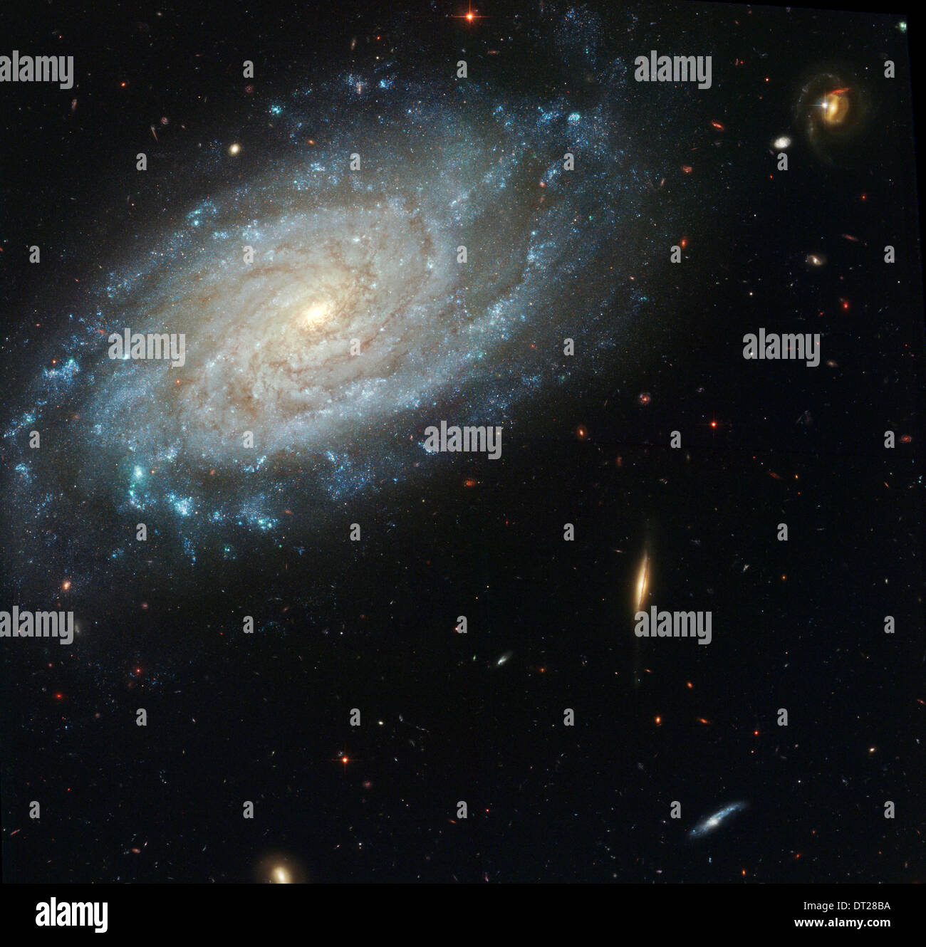 Spiral Galaxy NGC 3370 Stock Photo - Alamy