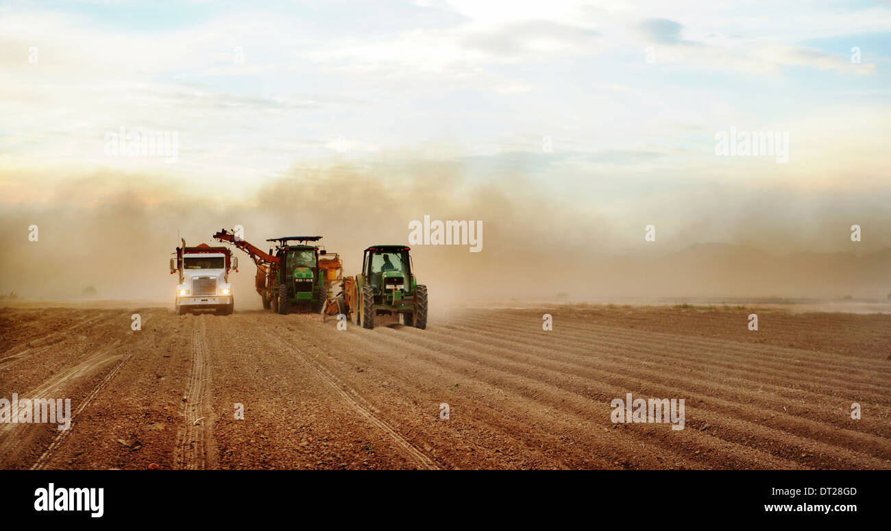 Harvesting Potatoes Machine Stock Photos & Harvesting Potatoes Machine ...