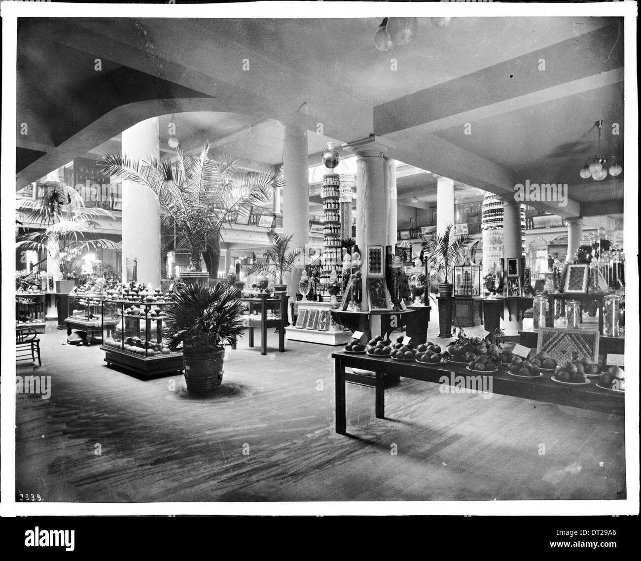 1900 area Black and White Stock Photos & Images - Alamy