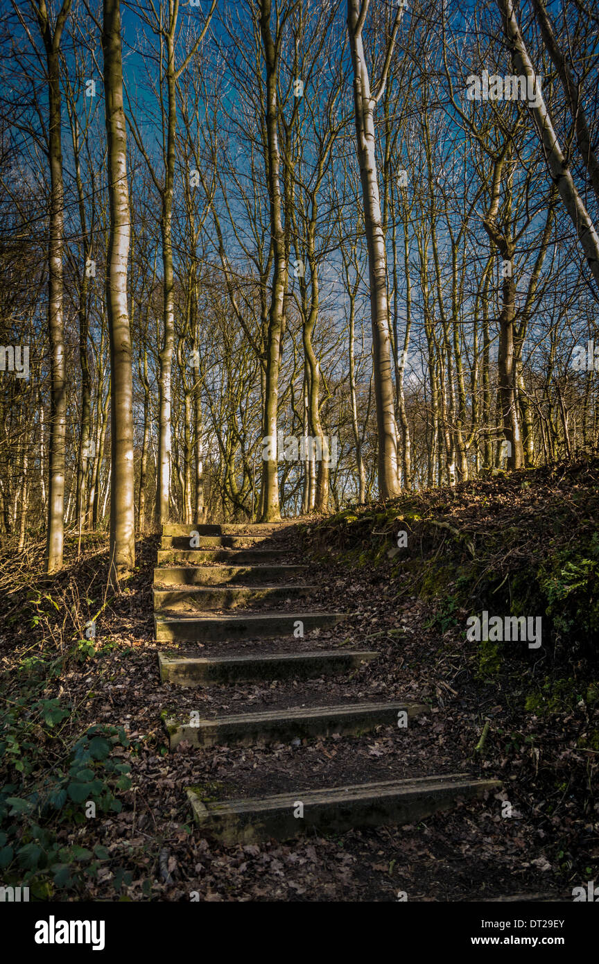 Wooden steps up steep hill hi-res stock photography and images - Alamy