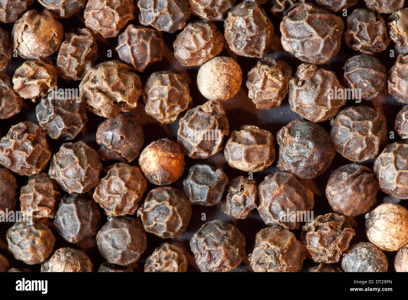 Peppercorns texture hi-res stock photography and images - Alamy