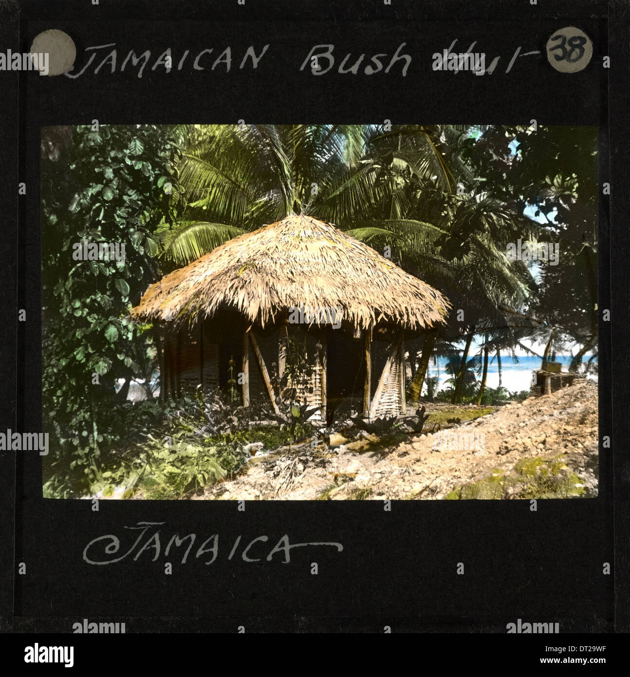 A photograph of a Jamaican bush hut, taken between 1875 and 1940 ...