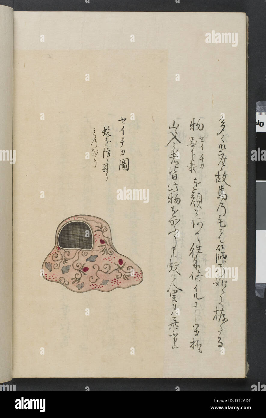 A volume of the 1807 text *Kankai Ibun*, showcasing its second volume ...