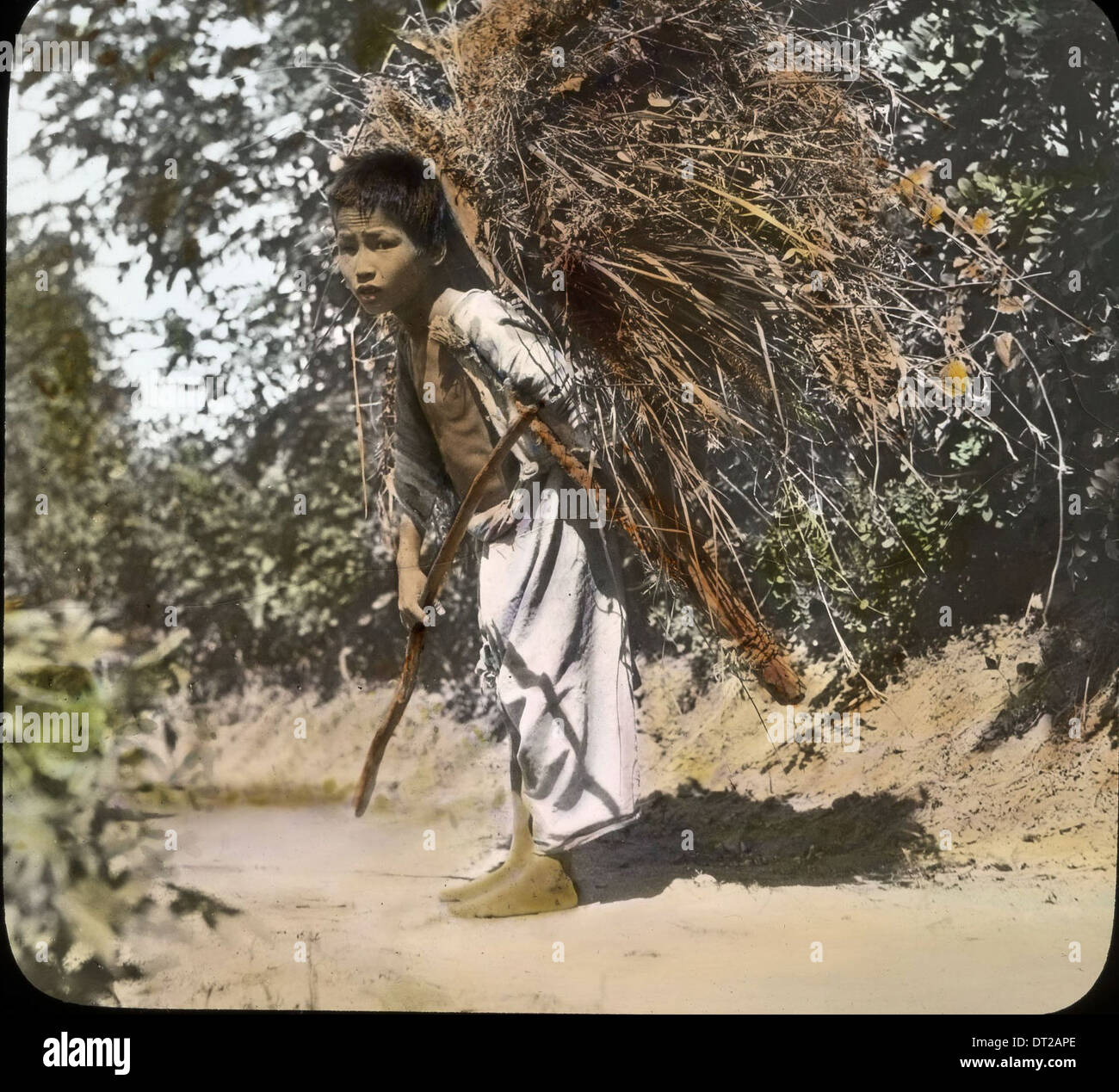 Photograph boy working in hi-res stock photography and images - Alamy