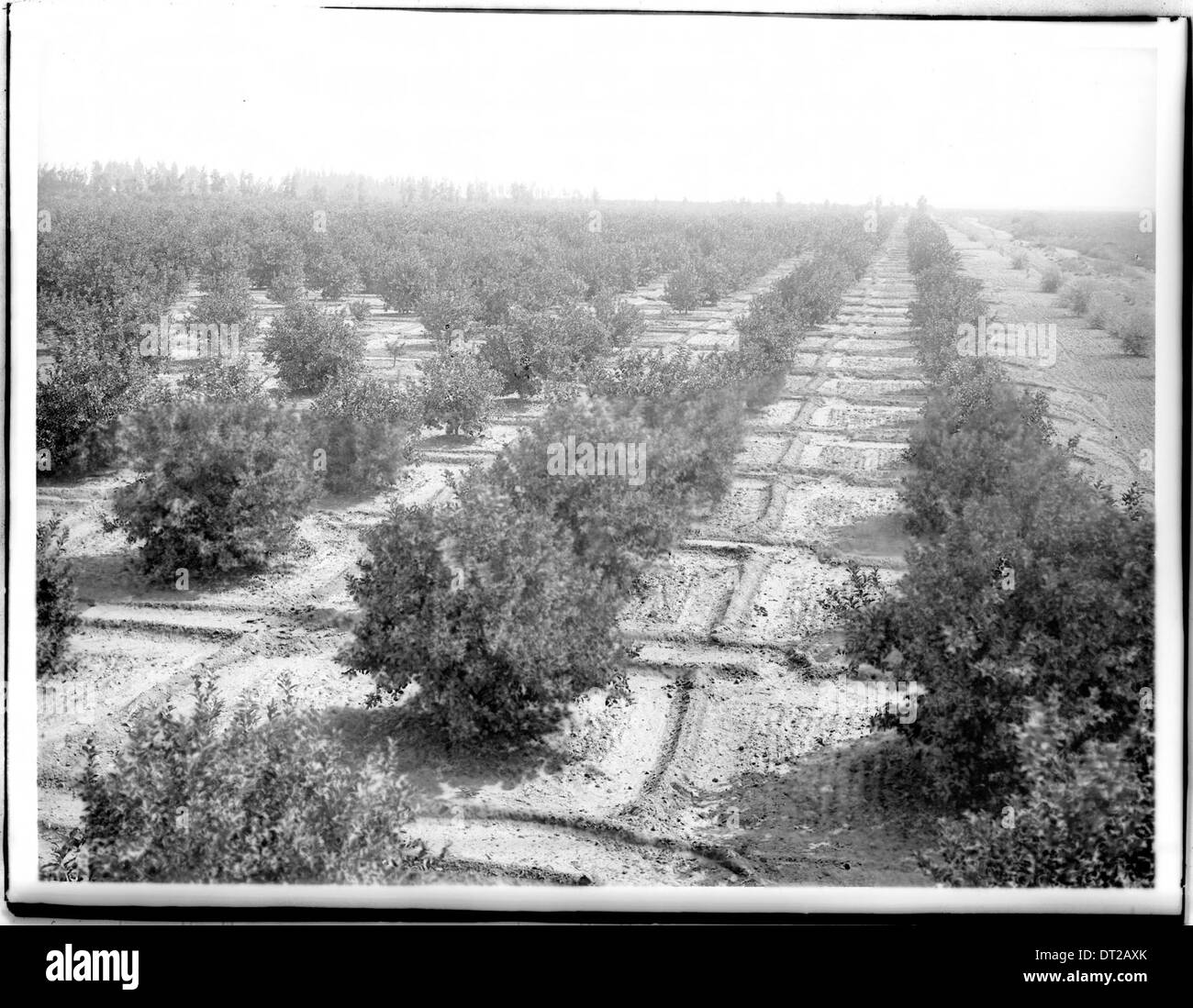 Vintage photo of san fernando hi-res stock photography and images - Alamy