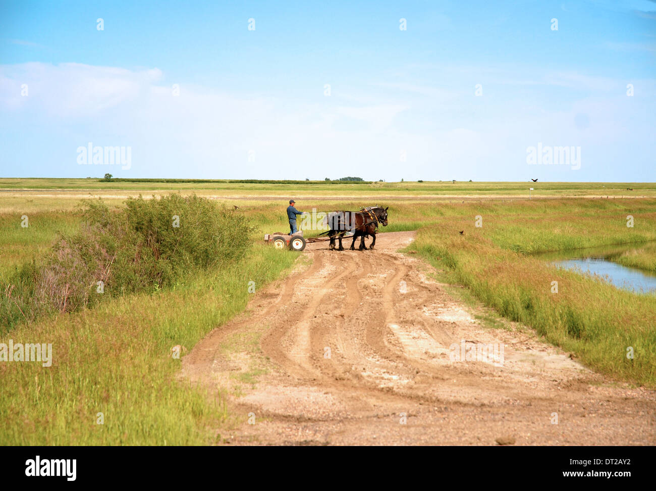 Prairie Scene, Canada Stock Photo - Alamy