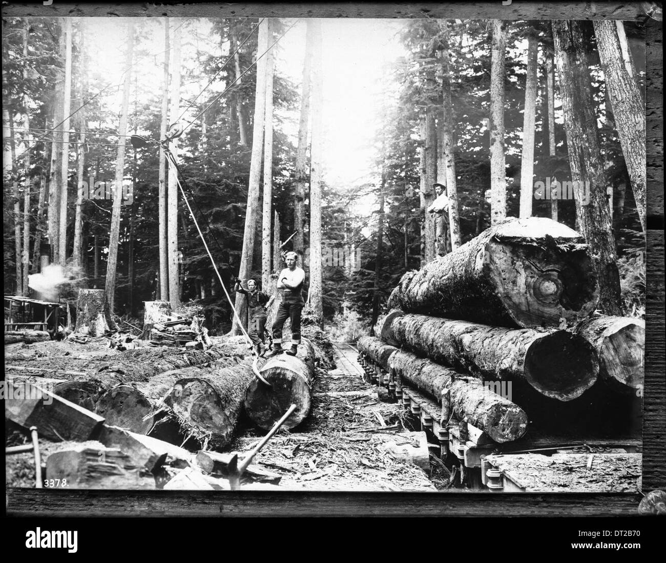 Logging cable Black and White Stock Photos & Images - Alamy