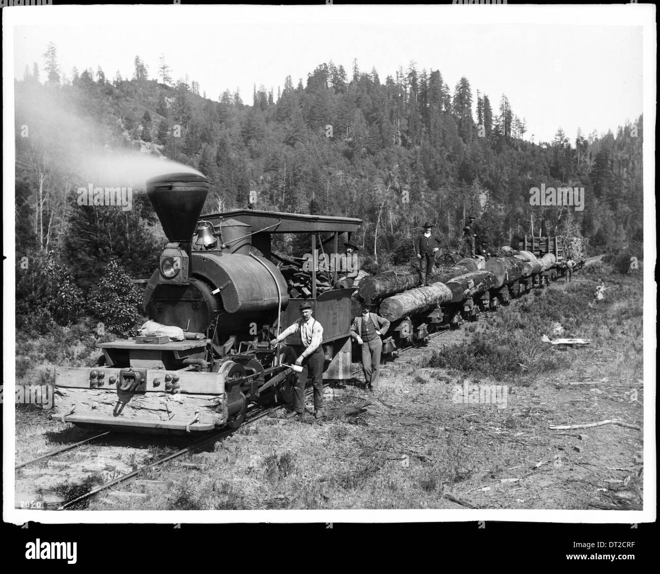 A photograph of a logging train loaded with logs, captured around 1900 ...