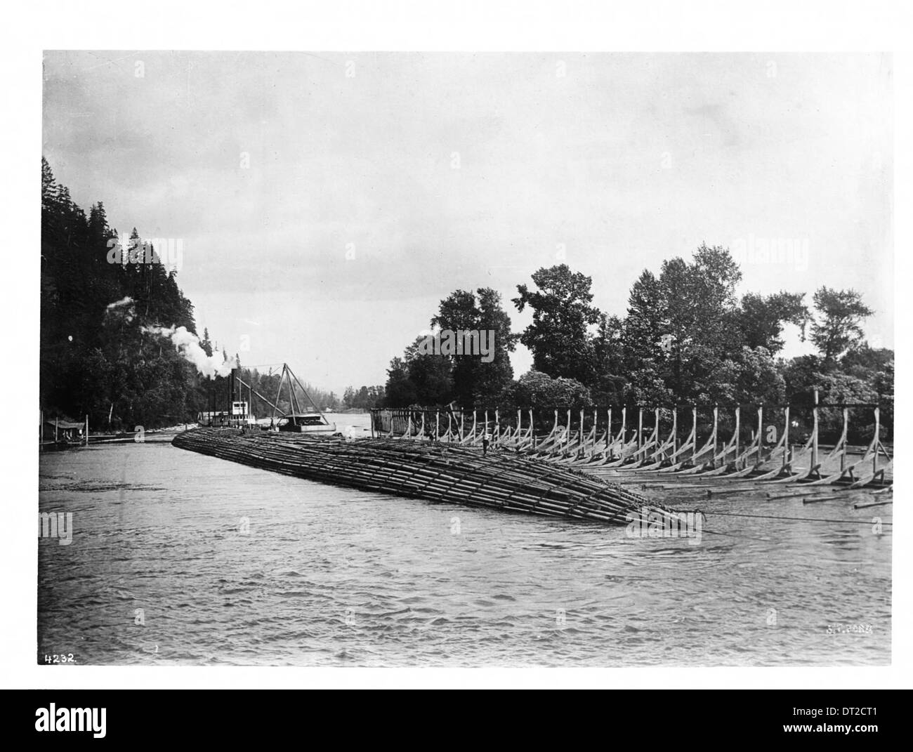 A log raft is seen just after being floated out of the cradle in ...