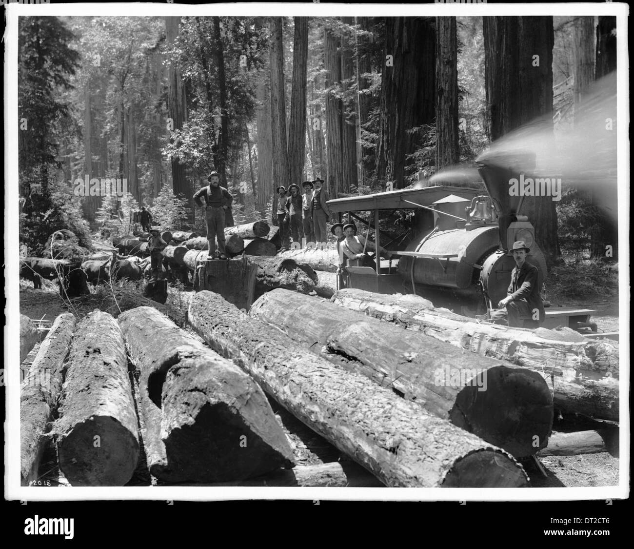Cars loaded with lumber hi-res stock photography and images - Alamy