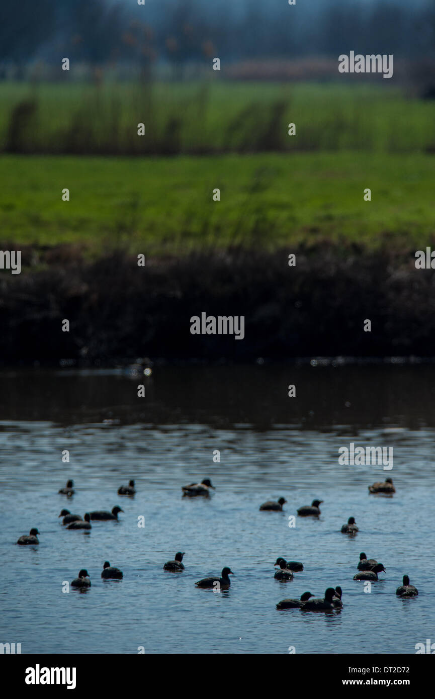 Agamon hula tourism park hi-res stock photography and images - Alamy