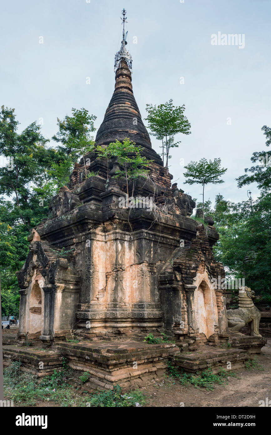 Trees growing out of old stupa, Mandalay, Myanmar Stock Photo - Alamy
