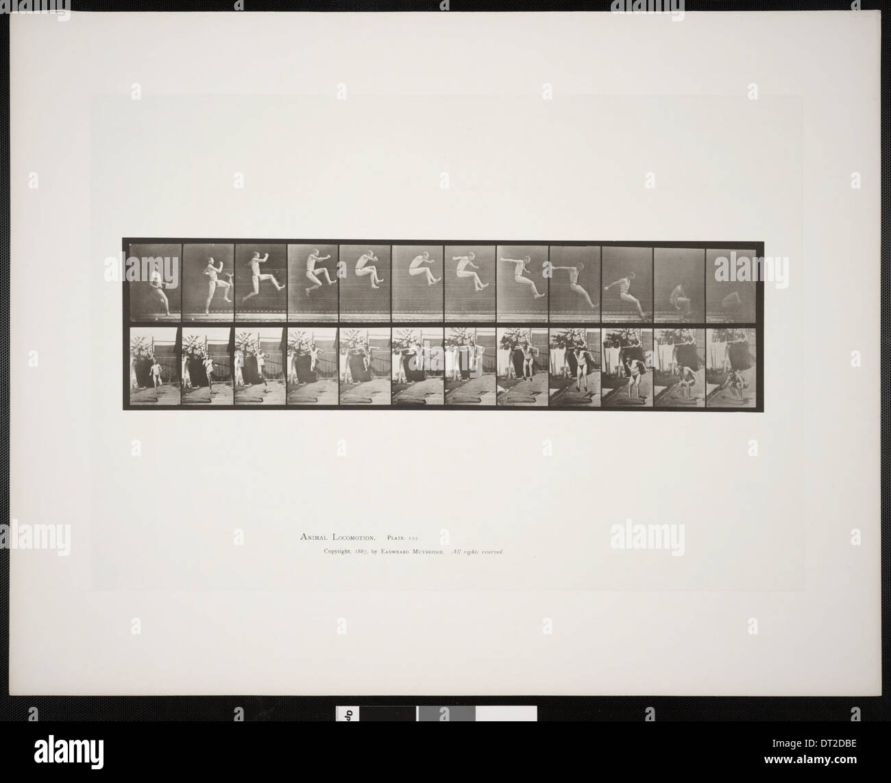 This photograph shows a man wearing a pelvis cloth, running and jumping ...