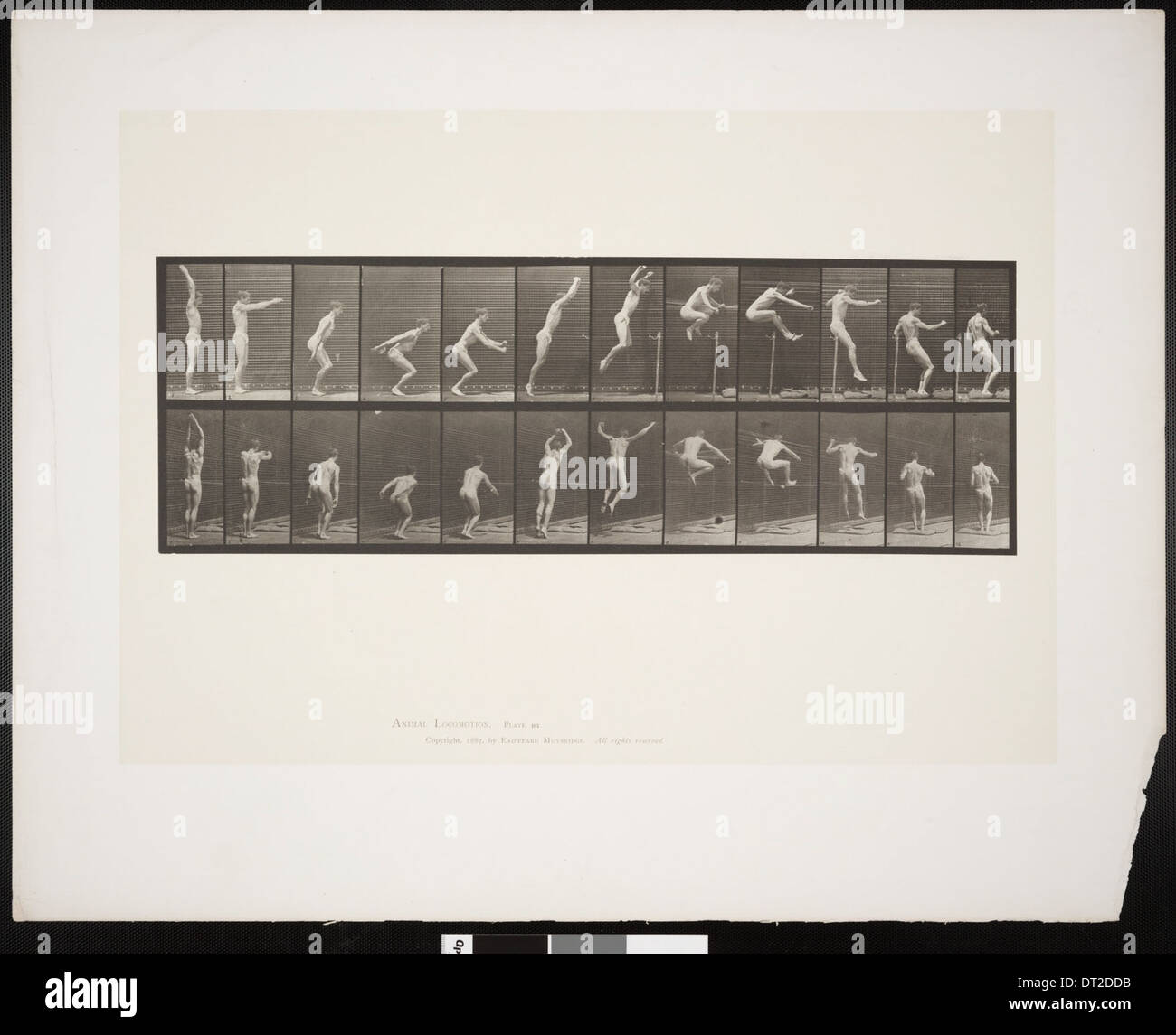 A man wearing a pelvis cloth is captured standing and jumping Stock ...