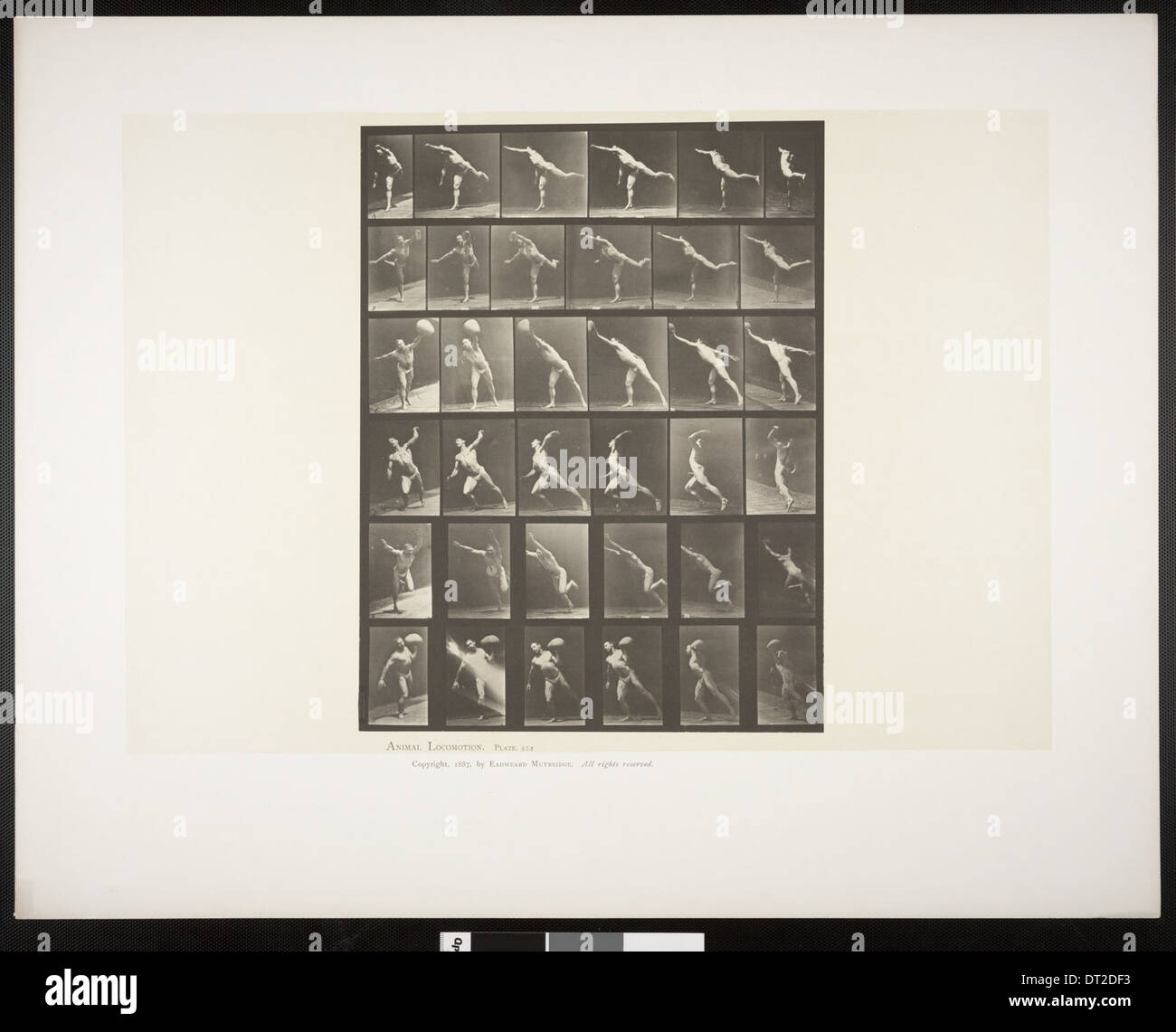 A man dressed in a pelvis cloth is shown striking a blow, throwing a ...