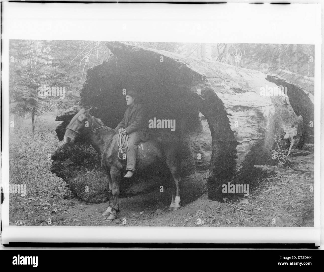 Stands out man Black and White Stock Photos & Images - Alamy