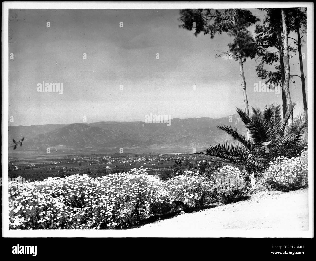 Smiley heights hi-res stock photography and images - Alamy