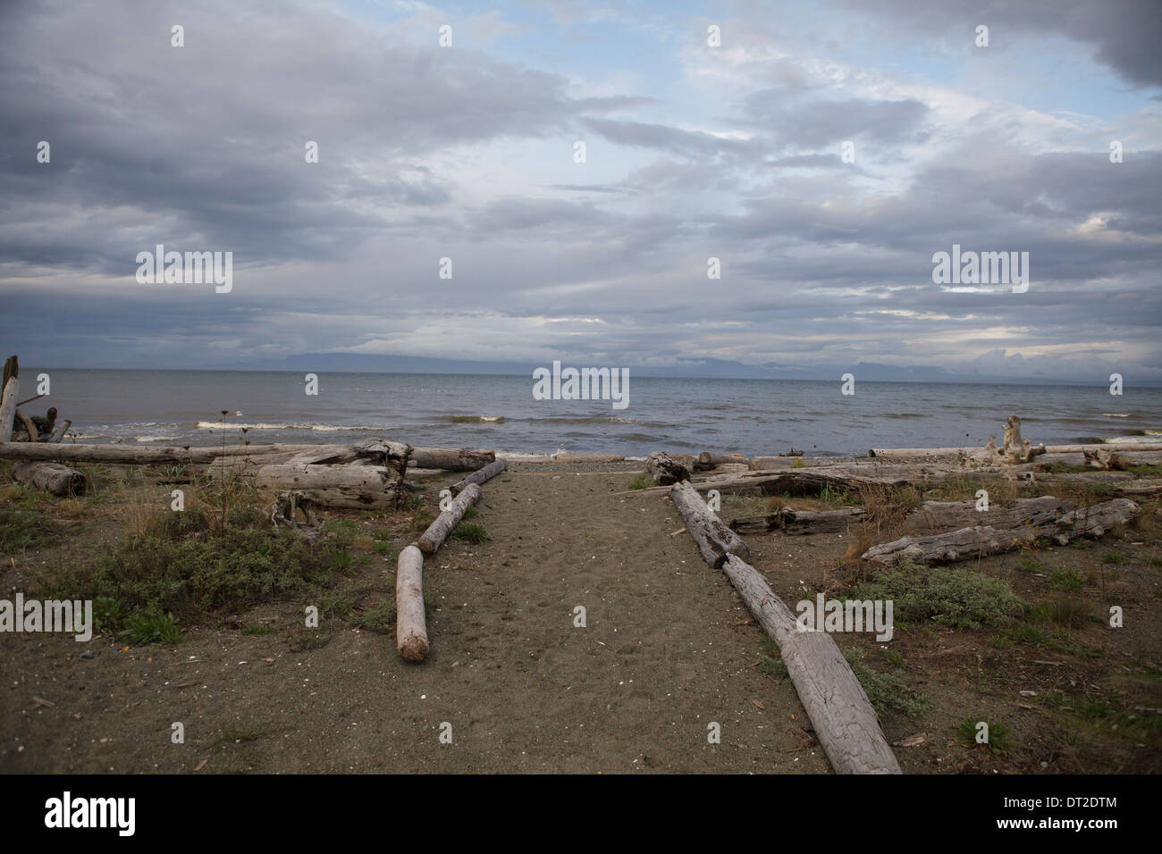 Path leading to a beach hi-res stock photography and images - Alamy