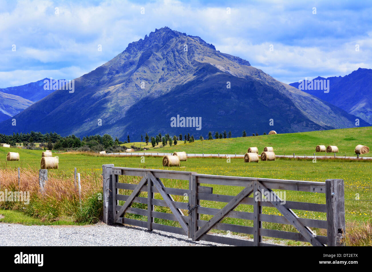 Hay Field In New Zealand High Resolution Stock Photography and Images ...