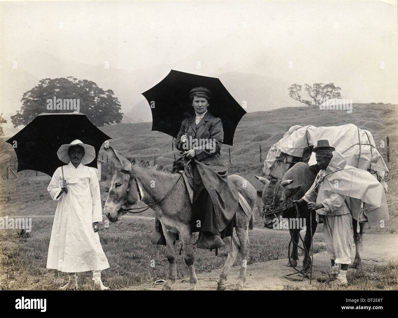 Miss b taylor hi-res stock photography and images - Alamy