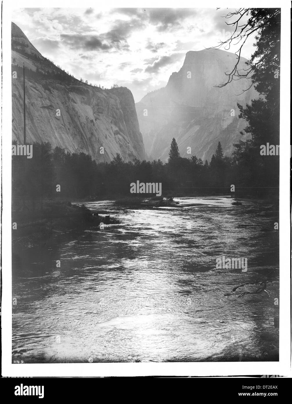 Night park view Black and White Stock Photos & Images - Alamy