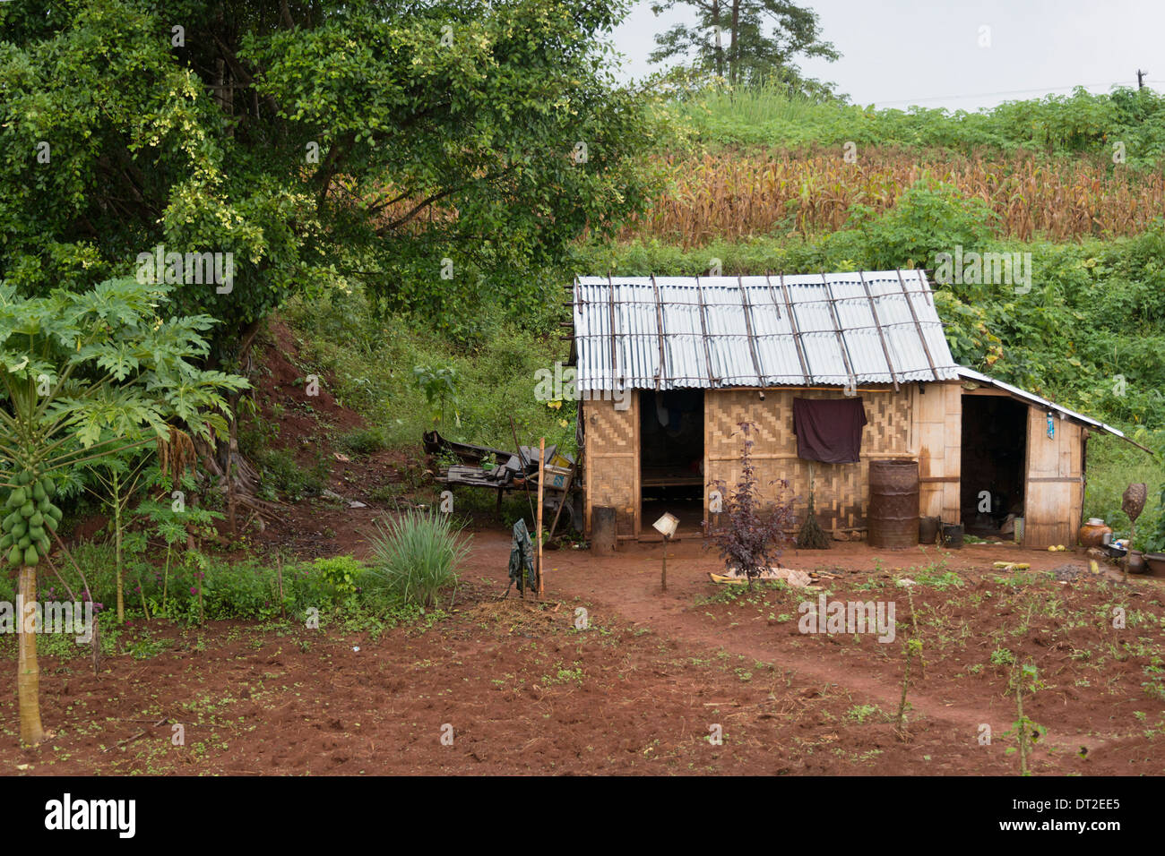 Farmer's simple tin roof and woven bamboo mat hut by the railway line ...