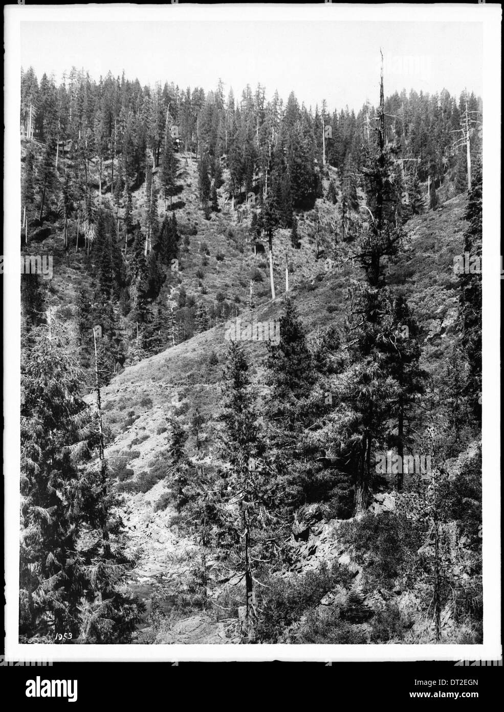 Plant regrowth california hi-res stock photography and images - Alamy
