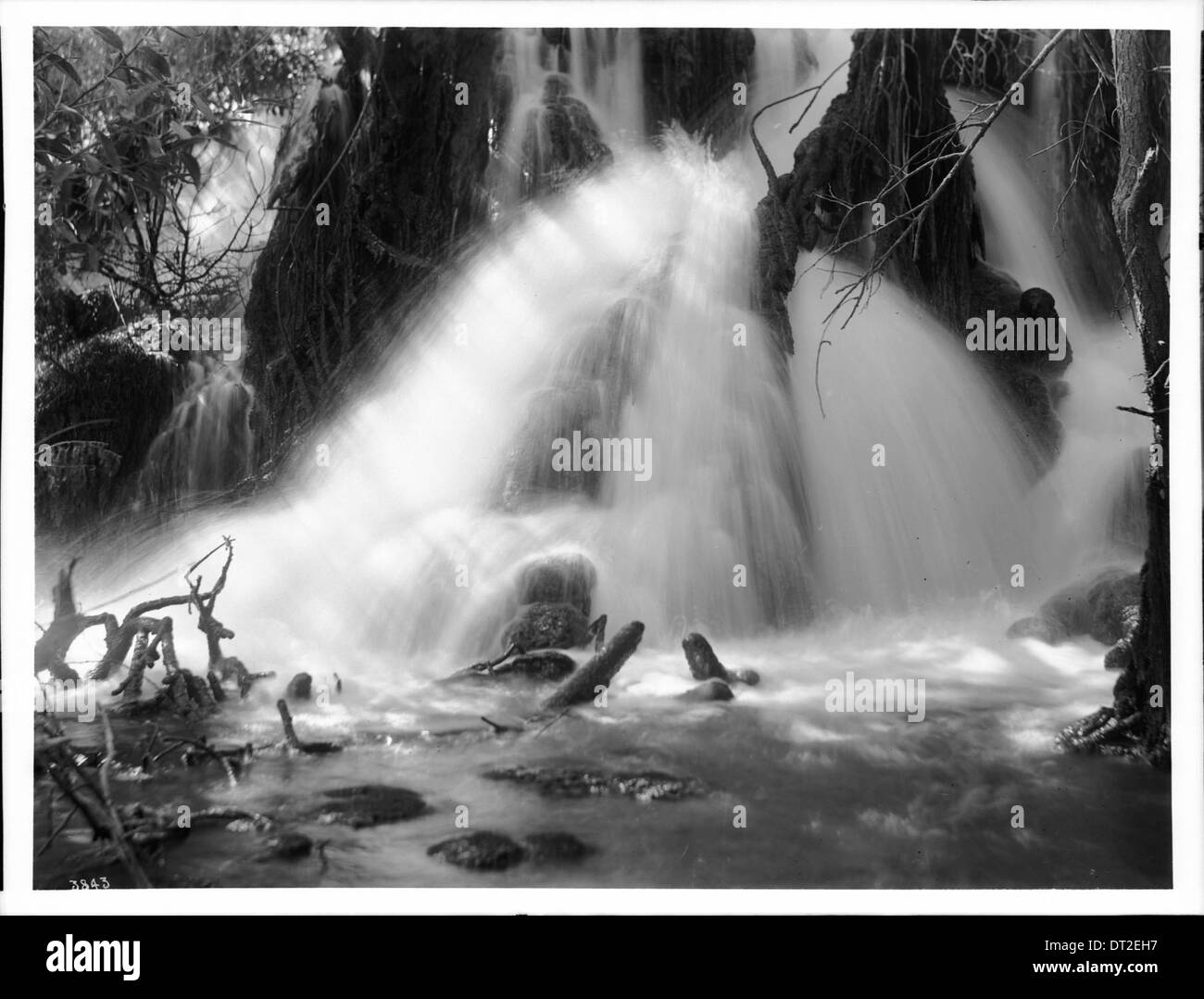 Grand Canyon Of Arizona 1900 High Resolution Stock Photography and ...