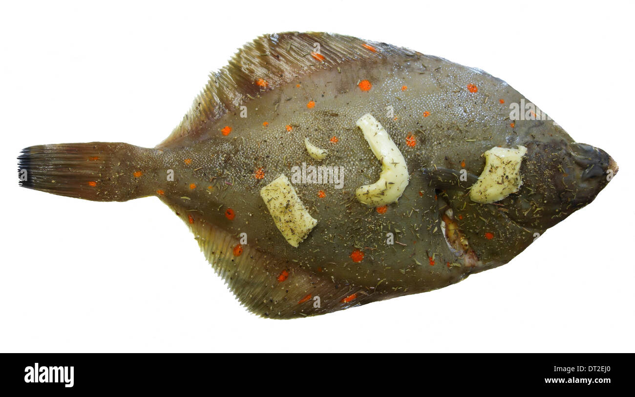 European Plaice with Butter and Herbs Stock Photo - Alamy