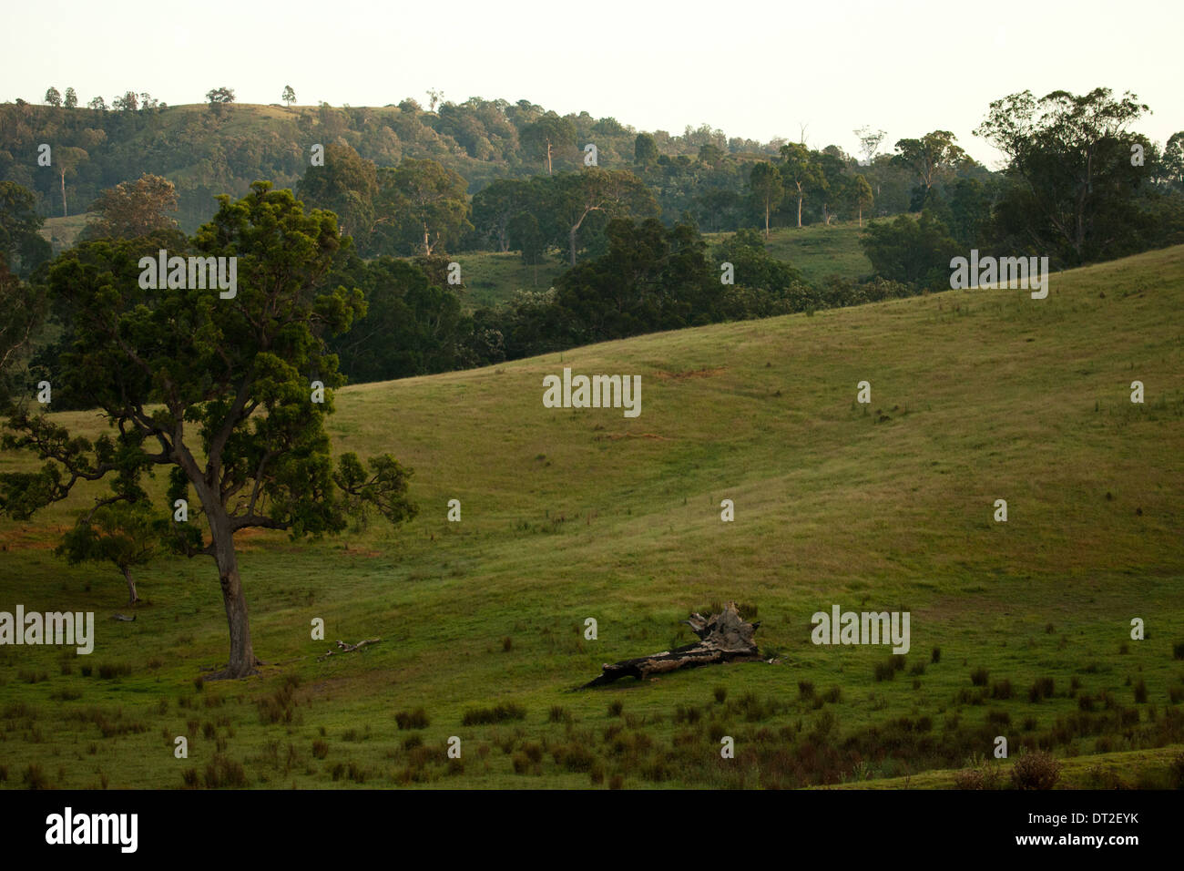 Australia Sydney and the Outback Stock Photo - Alamy