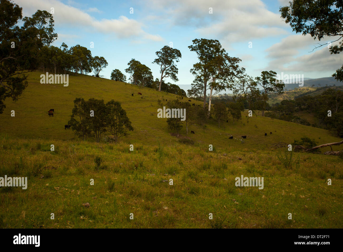 Australia Sydney and the Outback Stock Photo - Alamy